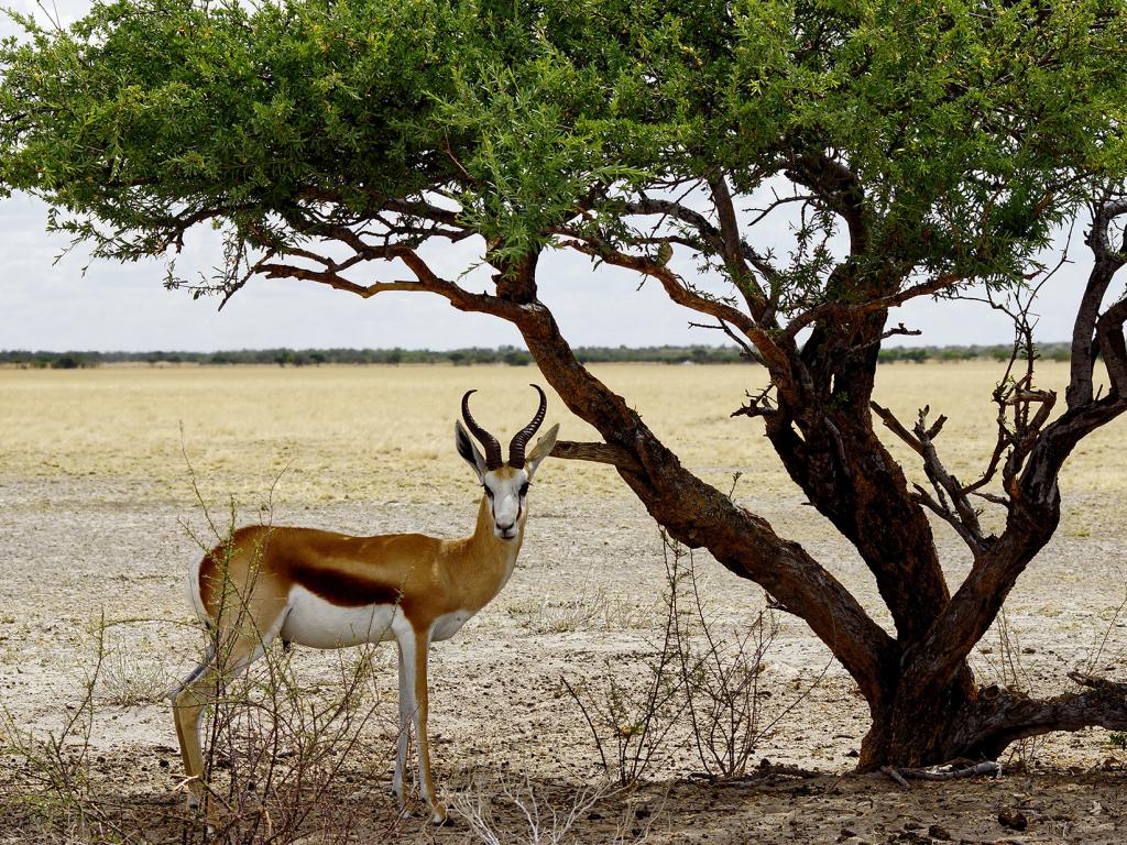 Enacting contested landscapes: Dwelling, conservation, and prospecting ...