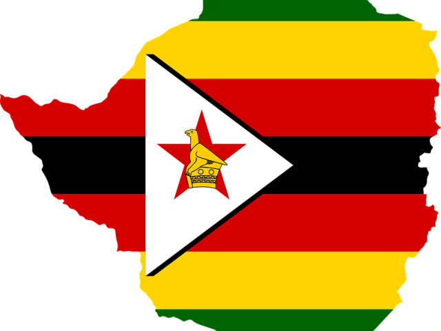 Zimbabwe's 'Bond Coup': a nuanced analysis | Centre for African Studies